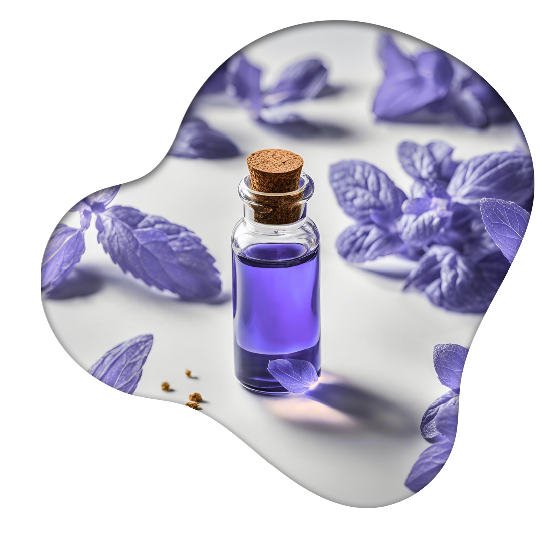 Bulk Herbal Extracts - Vera Herbals